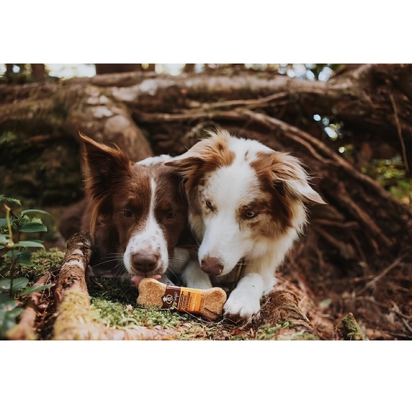 Snack para perro Cookie Cruncher Cheddar & Bacon de 1oz